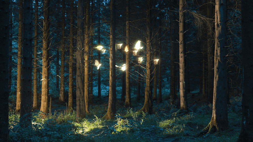 2025年大阪・関西万博 住友館「UNKNOWN FOREST」ティザー映像 | 株式会社モンタージュ - MONTAGE Inc.